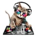Cute DJ Cat With Glasses PNG Clipart, Transparent Animal Clip Art, Kids ...