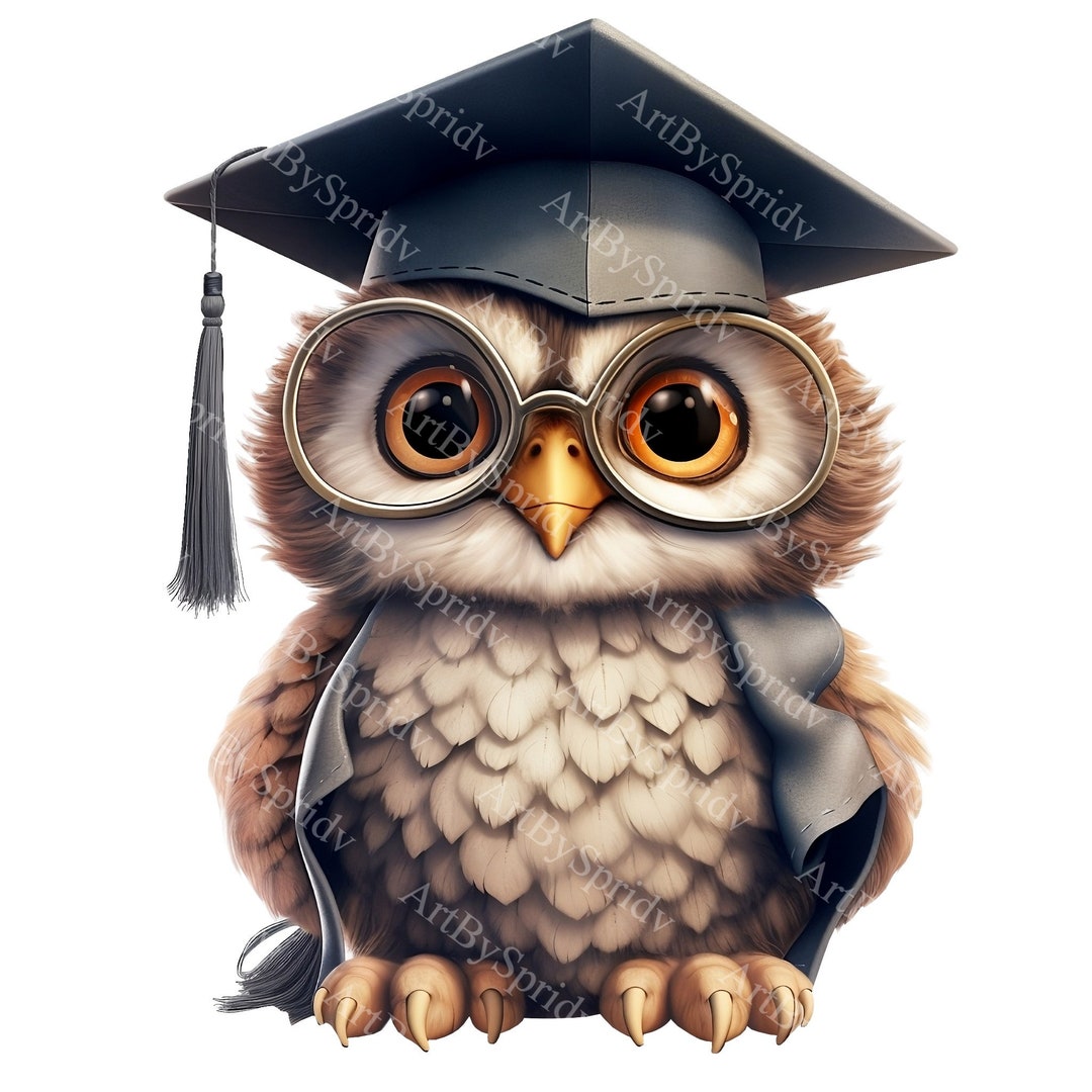 Graduation Owl Clipart | Cute Owl With Cap | Printable Sublimation PNG ...