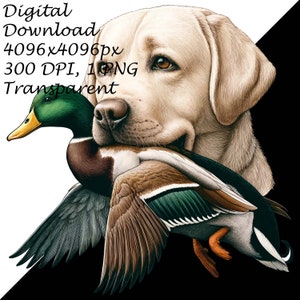 Labrador Retriever & Mallard Duck PNG Clipart, Dog/bird Illustration ...