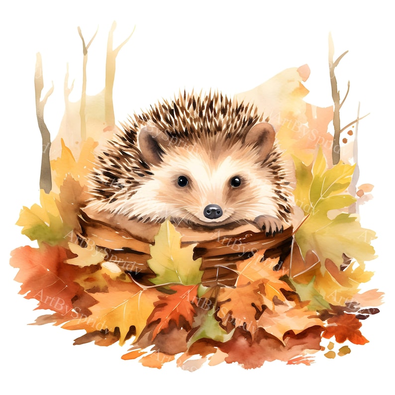 Hedgehog in Autumn Leaves Clipart | Woodland Animal Illustration | Fall ...