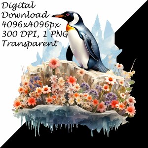 Penguin Clipart Bundle, Arctic Floral Digital Illustrations, Printable ...