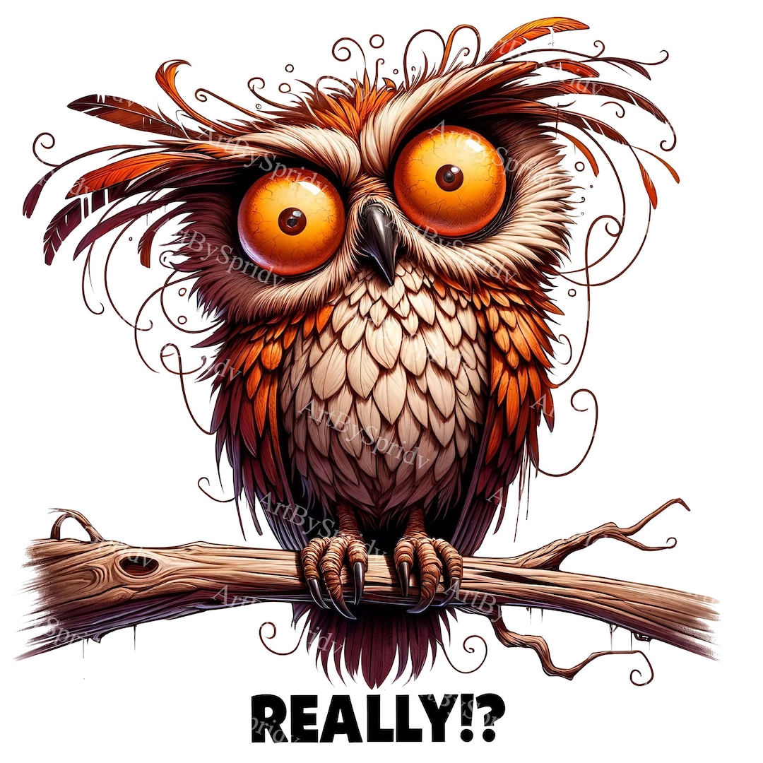 Surprised Owl Clipart With "really" Text - Cute Digital PNG for ...
