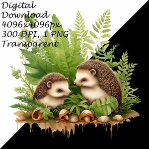 Hedgehog PNG Clipart Set|woodland Animal Illustrations|4 PCS ...