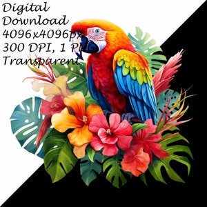 Tropical Parrot Clipart Set | Printable Sublimation PNG Files | Vibrant ...