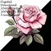 Pink Rose Clipart for Scrapbooking & Invitations Transparent PNG Clip ...