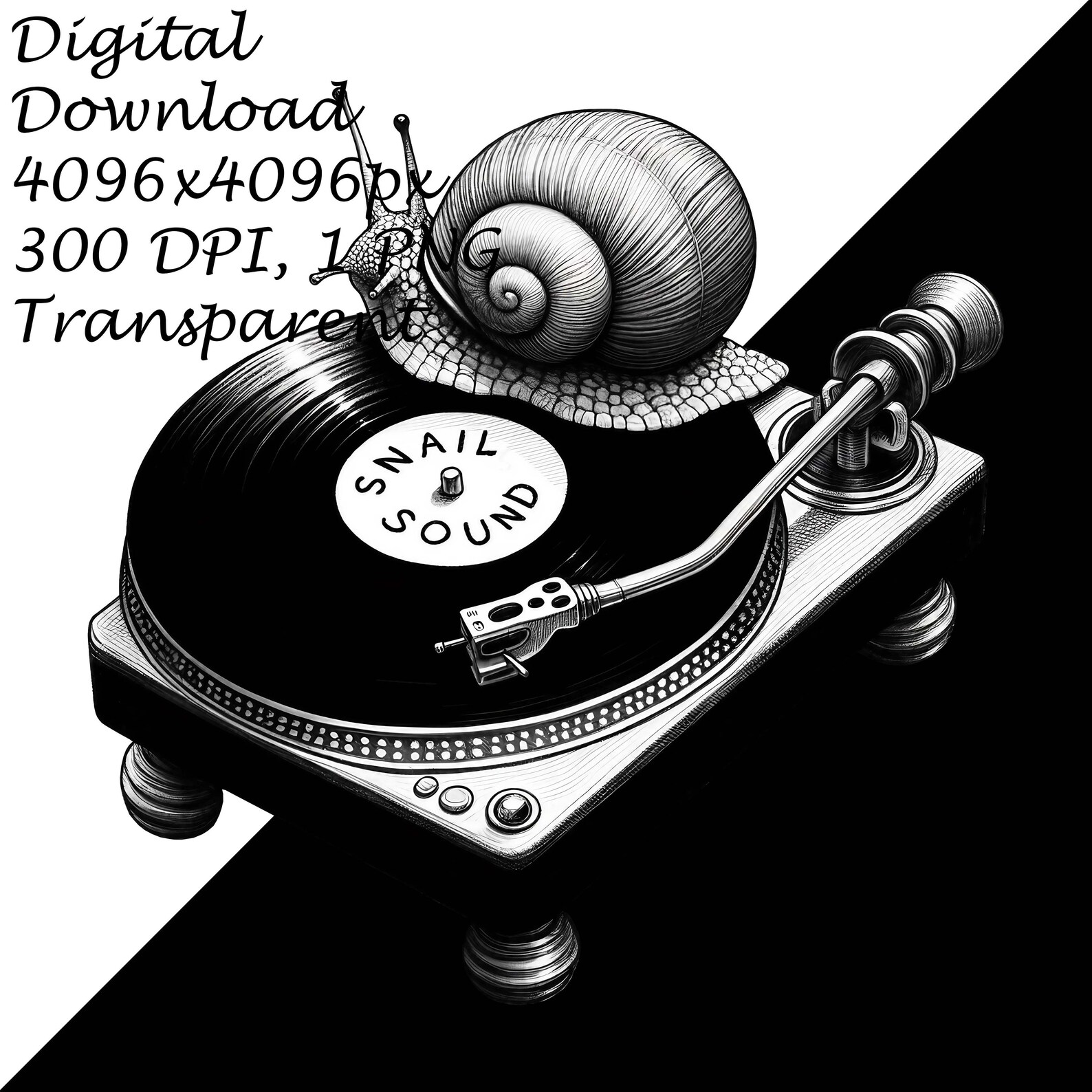 Whimsical Vinyl Record Player Clipart With Snail | Transparent PNG ...