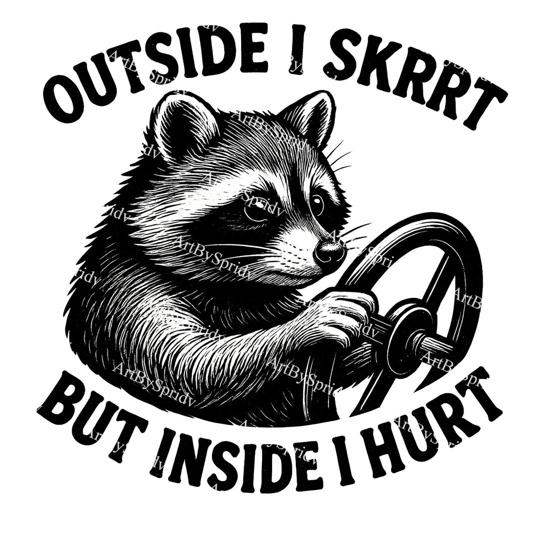 Sad Raccoon Driving PNG, Outside I Skrrt, Inside I Hurt Meme ...