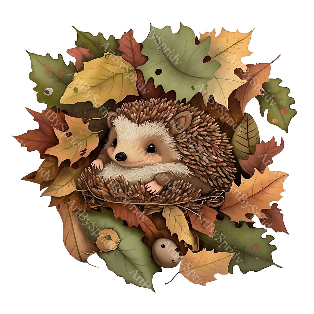 Adorable Baby Hedgehog Snuggled in Autumn Leaves PNG Clipart, Cute ...