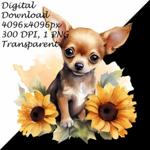 Watercolor Chihuahua Puppy Dog Near Sunflowers - Transparent 4 PNG ...