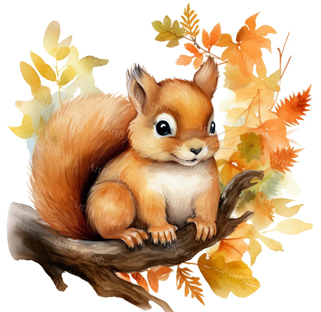 Clipart Set Watercolor Squirrel on Fall Tree Branches - Etsy