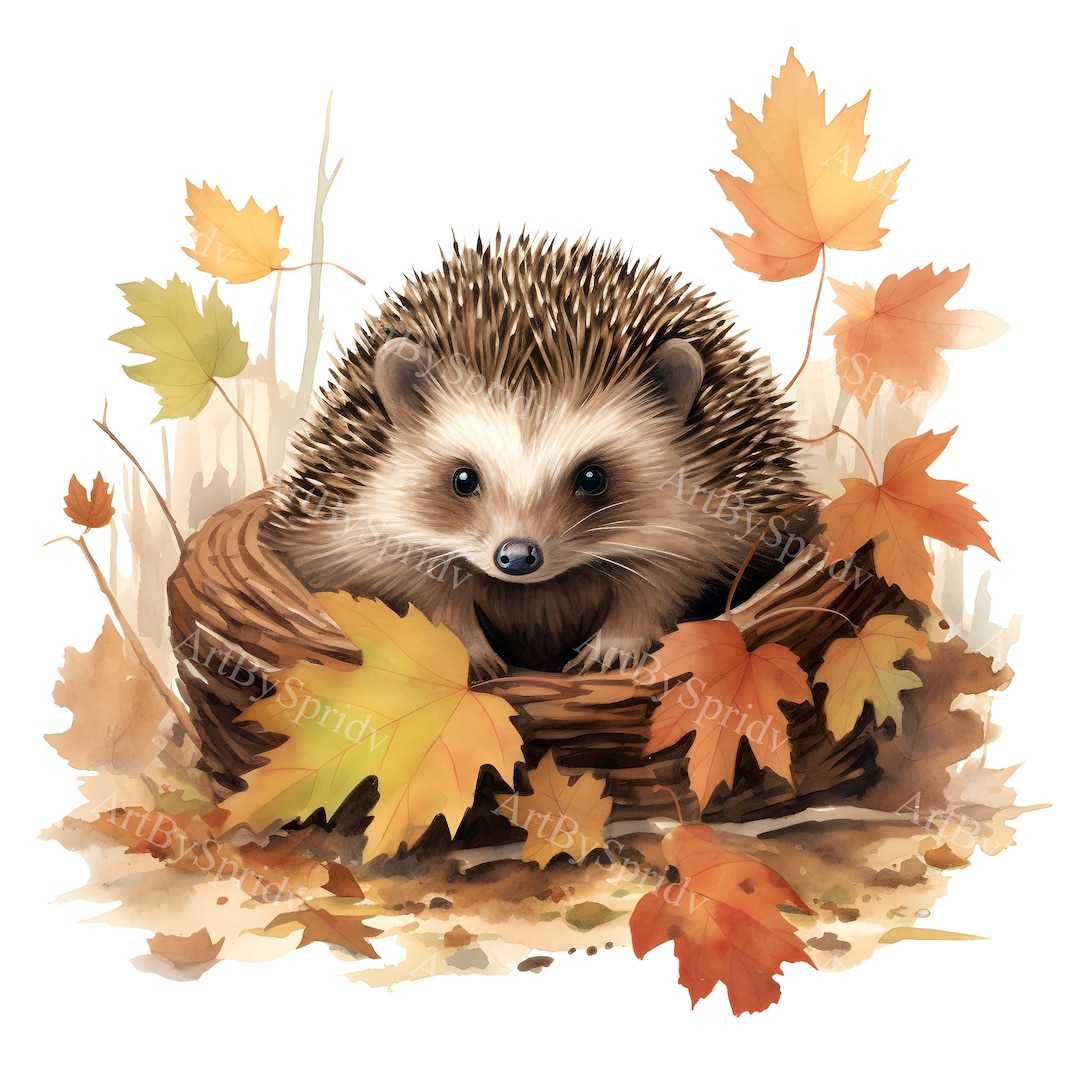 Aquarell Igel mit Herbstlaub Im Wald PNG Clipart druckbare - Etsy.de