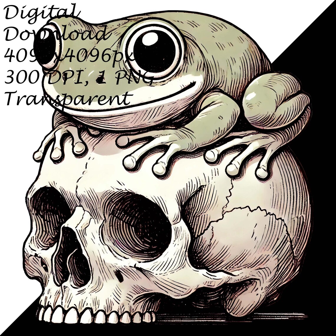 Unique Wide-eyed Frog Sitting on Human Skull PNG Clipart, Spooky Gothic ...