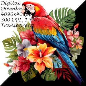 Tropical Parrot Clipart Set | Printable Sublimation PNG Files | Vibrant ...