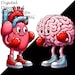Animated Heart and Brain Boxing Clipart Engaging Educational PNG, Mind ...