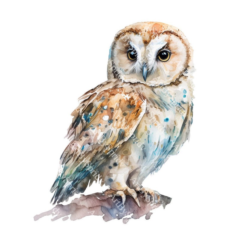 Watercolor Owl PNG Transparent Clipart Kids Cartoon - Etsy
