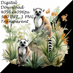 4 Pack Lemurs Exploring the Lush Flora Madagascar Jungle Transparent ...