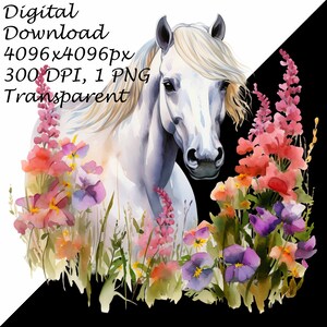 Watercolor Horse & Floral PNG Clipart Pack, Elegant Equine for ...