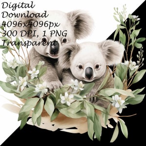 Koala Clipart Set, Watercolor Eucalyptus Koala Family Digital PNG ...
