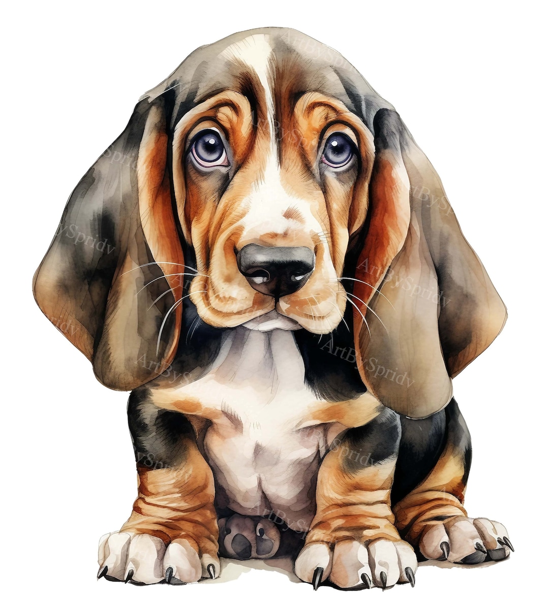 Watercolor Basset Hound Puppy Dog With Floppy Ear-transparent 4 PNG ...