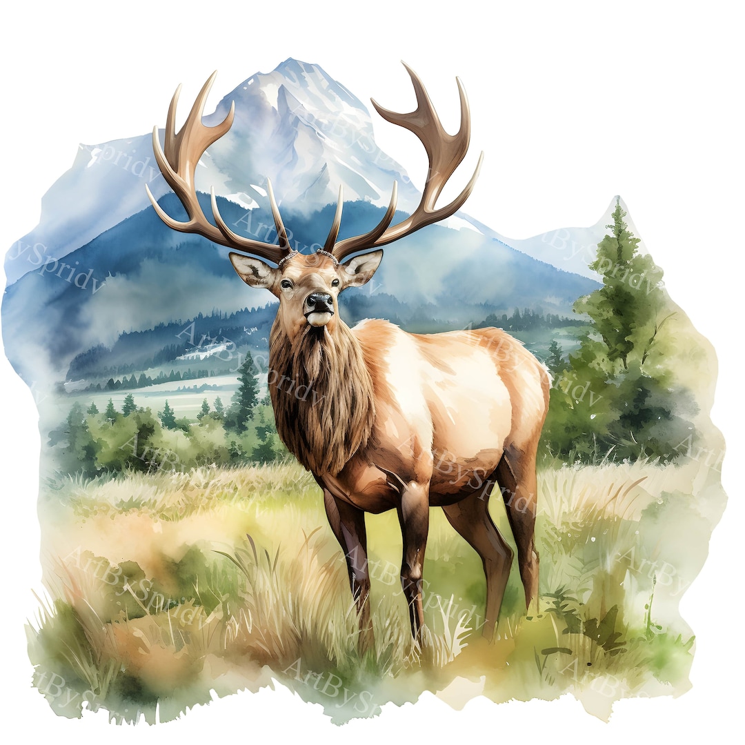 Majestic Elk With Mountain Scenery PNG | Transparent Wildlife Clipart ...