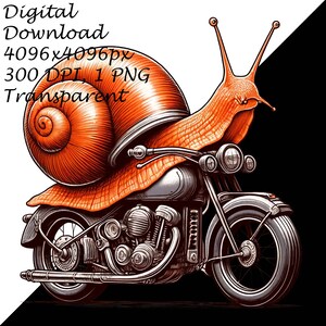 Snail Motorcycle Clipart - Digital Download, Transparent PNG, Vintage ...