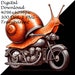 Snail Motorcycle Clipart - Digital Download, Transparent PNG, Vintage ...