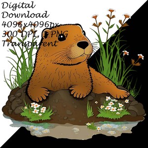 Groundhog Clipart Transparent PNG | Cute Groundhog Illustration ...