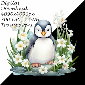 Penguin and Snowdrop Flowers PNG Clipart Set, 4-PCS Transparent Clip ...