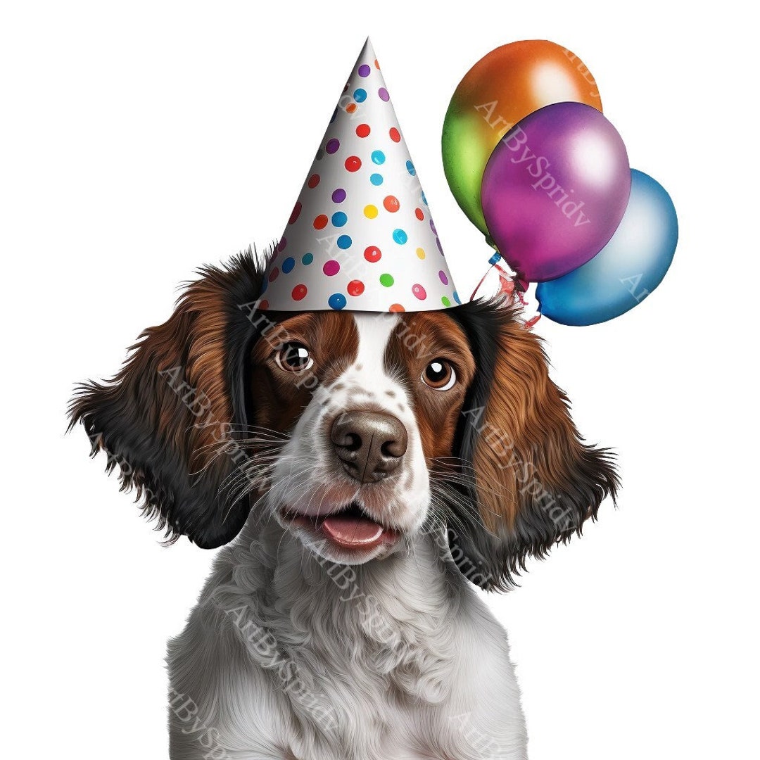 Puppy Party Hat Clipart Transparent PNG Birthday Dog Digital Image Pet ...