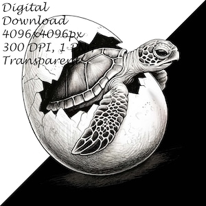 Baby Sea Turtle Hatching From Eggs Clipart - Transparent PNG, Instant ...