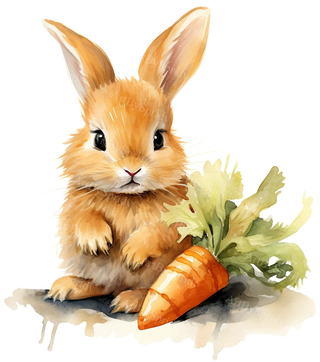 Watercolor Bunny Clipart Set | 4 High-quality Transparent PNG Rabbit ...