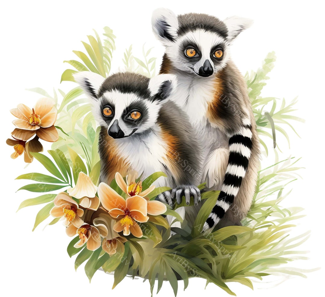 4 Pack Lemurs Exploring the Lush Flora Madagascar Jungle Transparent ...