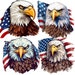 USA Patriotic American Bald Eagle With Flag on Wings PNG Clipart ...