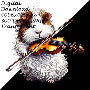 Adorable Guinea Pig Playing Violin Clipart - Cute Transparent PNG ...