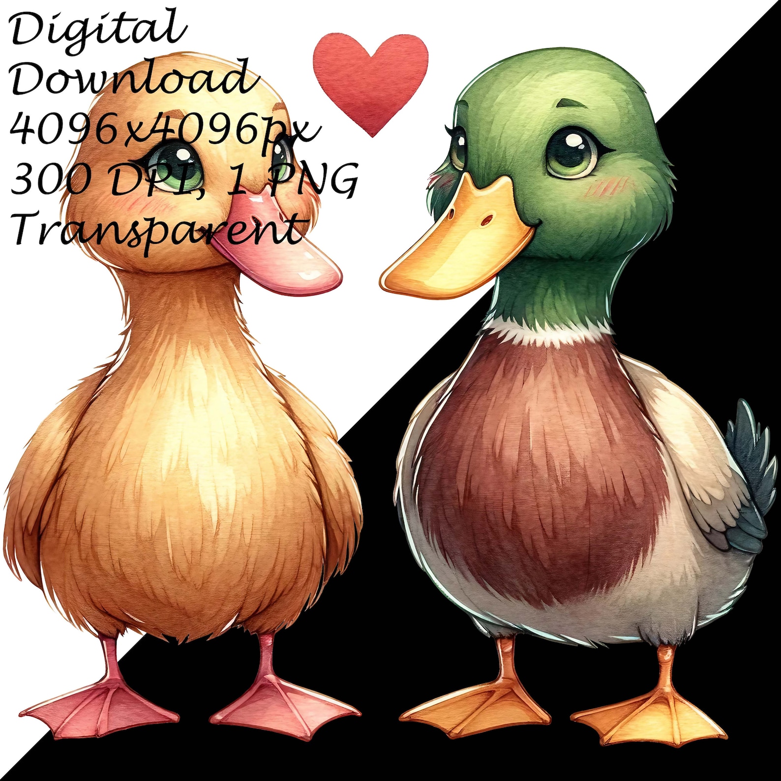 Clipart de patos de dibujos animados de acuarela PNG digital con ...