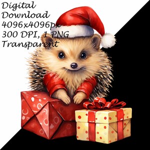 4-PCS Christmas Hedgehog Clipart Bundle PNG, Hedgehogs in Santa Hats ...