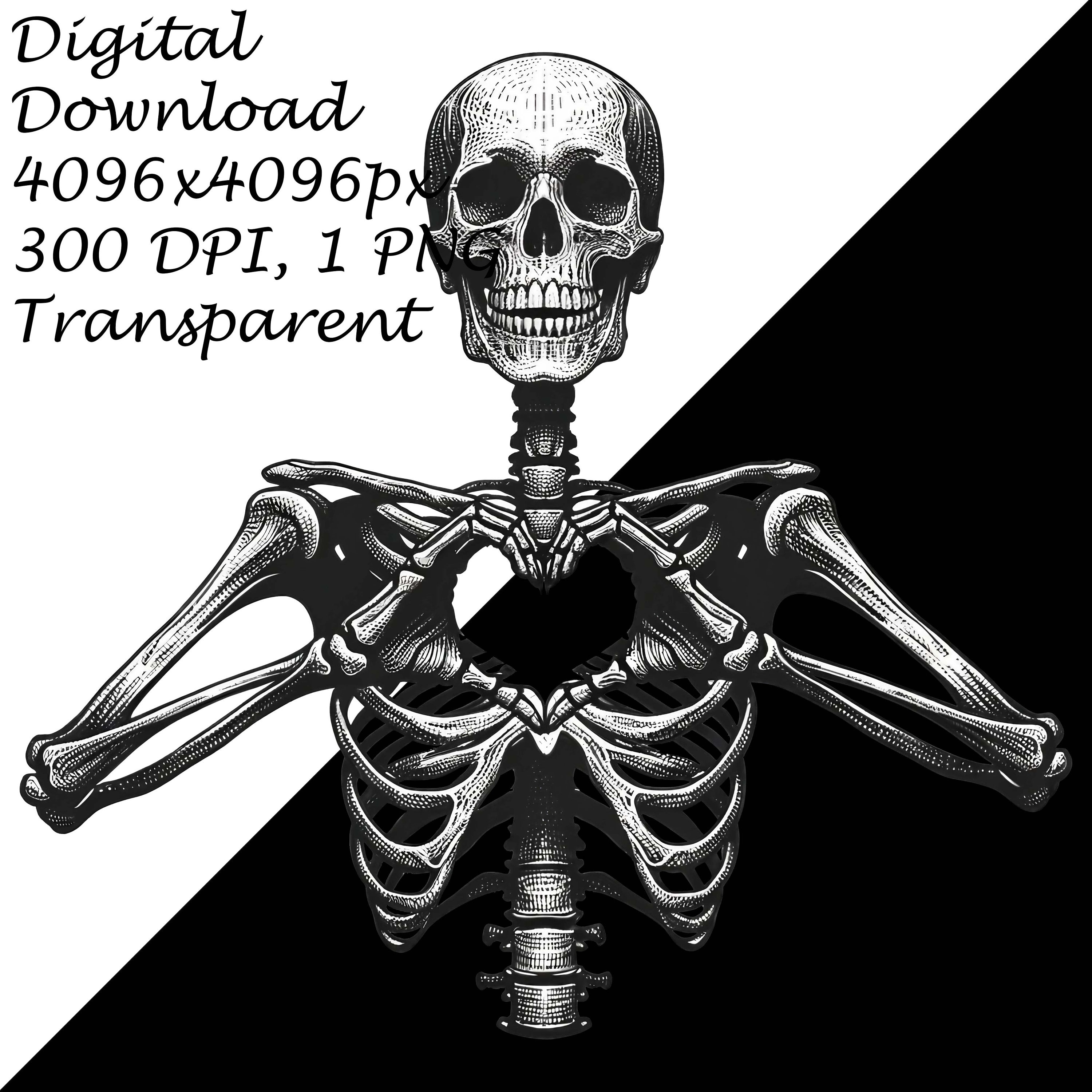 Ink Drawn Human Skeleton Hands Forming Heart PNG, Anatomical Art ...