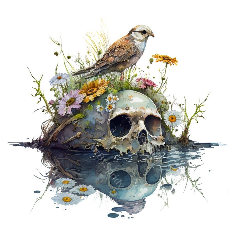 Skull&sparrow in the Puddle PNG File Digital Print Clip Art Instant ...
