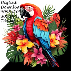 Tropical Parrot Clipart Set | Printable Sublimation PNG Files | Vibrant ...