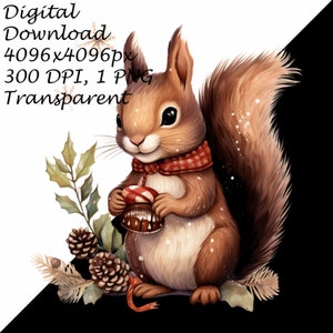 Festive Christmas Squirrel PNG Clipart Set|hand-drawn Woodland Animals ...