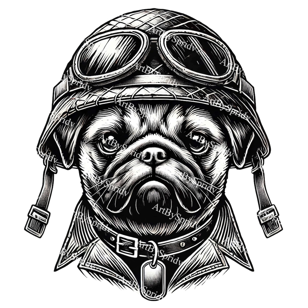Vintage Biker Pug PNG, Cool Motorcycle Dog Illustration, Retro Aviator ...