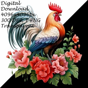 Vibrant Floral Rooster Clipart Pack - Premium Digital Clipart for ...