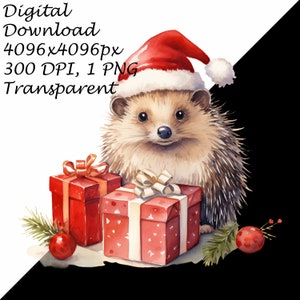 4-PCS Christmas Hedgehog Clipart Bundle PNG, Hedgehogs in Santa Hats ...