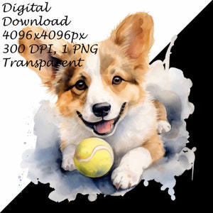 Cute Watercolor Corgi Puppy Dog With Tennis Ball - Transparent 4 PNG ...