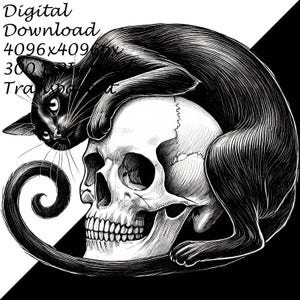 Black Cat & Skull Clipart PNG, Gothic Cat Illustration, Transparent ...