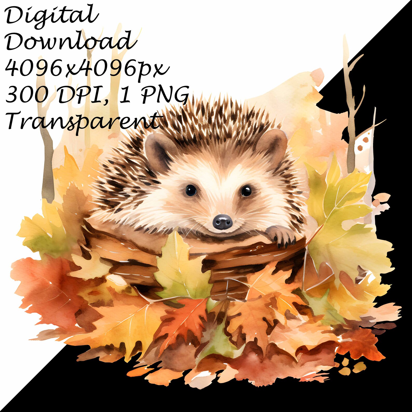 Hedgehog in Autumn Leaves Clipart | Woodland Animal Illustration | Fall ...