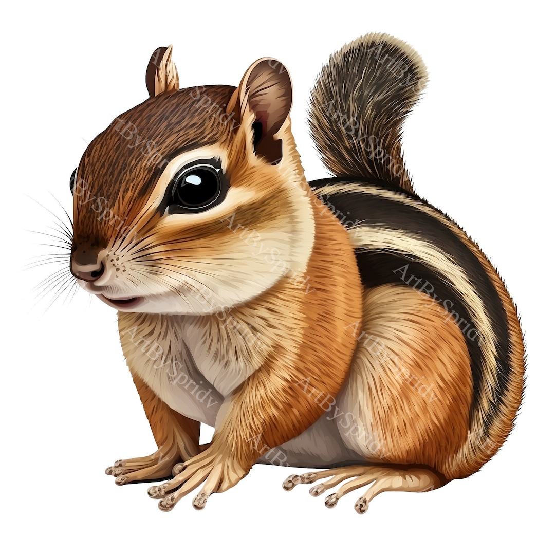 Adorable Chipmunk Digital Clipart - Transparent PNG for Sublimation ...