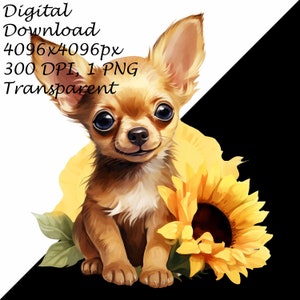 Watercolor Chihuahua Puppy Dog Near Sunflowers - Transparent 4 PNG ...
