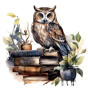 Vintage Owl on Antique Books PNG Clipart Illustration,retro Bird Art ...
