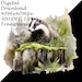 Woodland Watercolor Badger PNG Clipart With Mossy Logs & Ferns, Forest ...